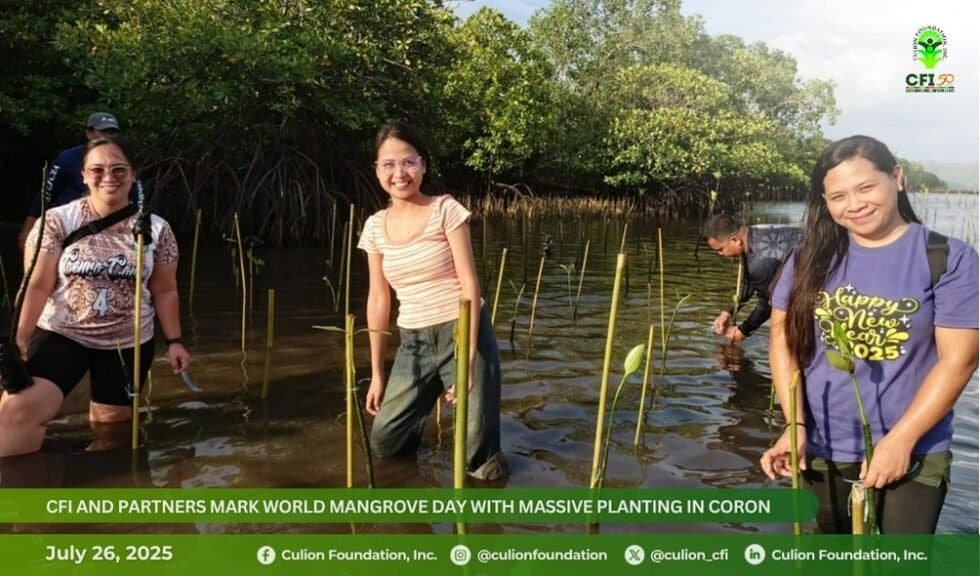CFI and Partners Mark World Mangrove Day with Massive Planting in Coron ...