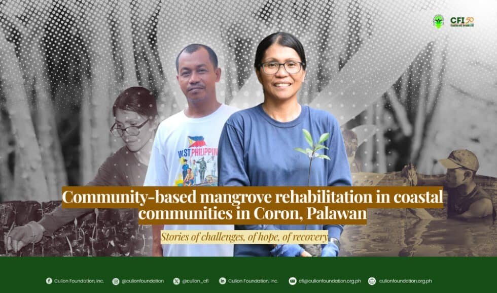 Community-based mangrove rehabilitation in coastal communities in Coron ...